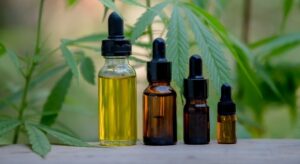 What is CBD, CBN, CBG? | A Beginner's Guide to CBD | CBDfx