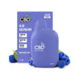 Blue Raspberry CBD Vape Pen | 1500mg Broad Spectrum CBD - CBDfx